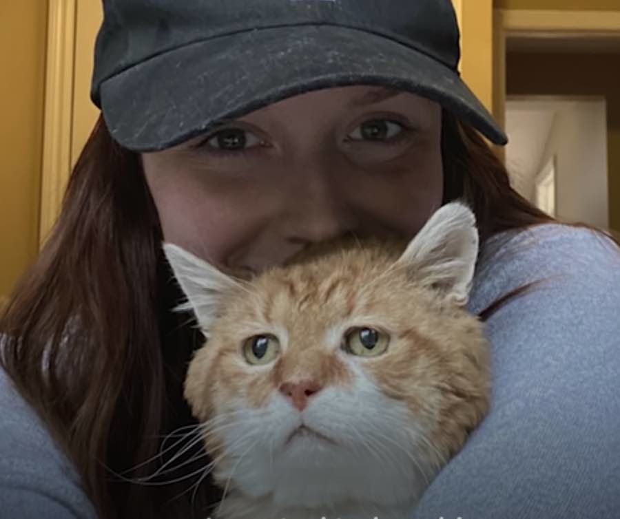 After Spending Nine Winters Outside A Three Leggend Stray Cat Now Has ...