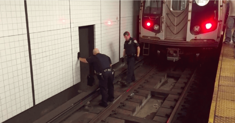 Police Stopped A Train And Jumped Into Subway Tracks To Rescue A Scared ...